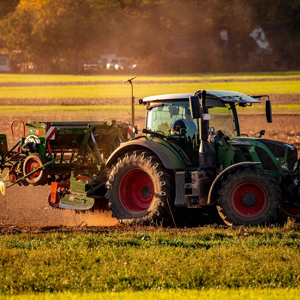 Broyage et défrichage