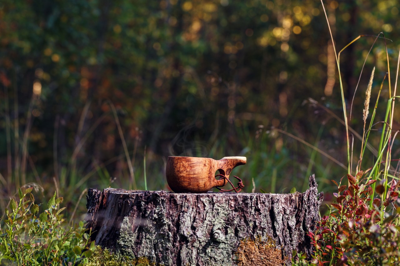 Which wood to use to make a kuksa and how to choose it?