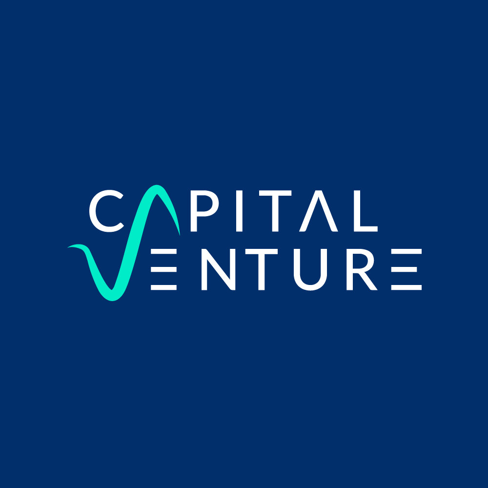 Capital Venture Solutions | Optimize Your Investments